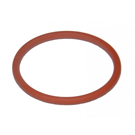 O-Ring Plasma PT100 - 119PT100ORING
