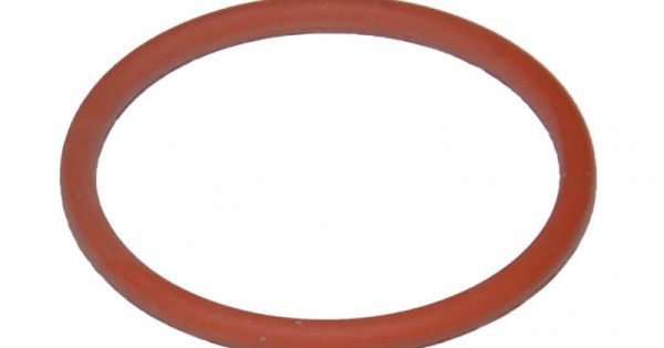 O-Ring Plasma PT100 - 119PT100ORING