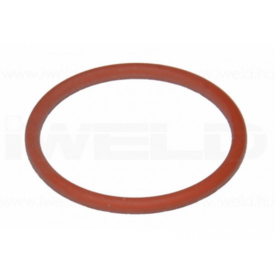 O-Ring Plasma PT40 - 119PT80ORING