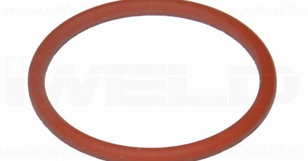 O-Ring Plasma PT40 - 119PT80ORING